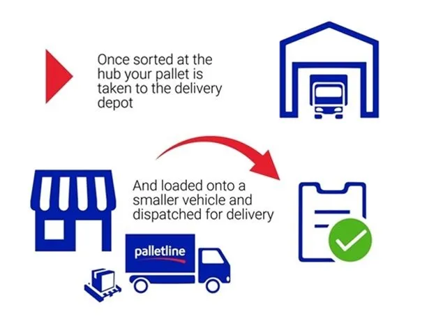 Day in the life of a pallet - Palletline Whitehead